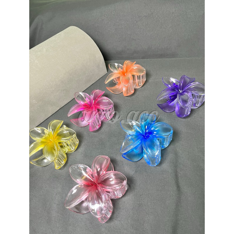 Jual Jepitan Jumbo 8cm Bunga Kamboja Warna Bening / Jedai Kamboja ...