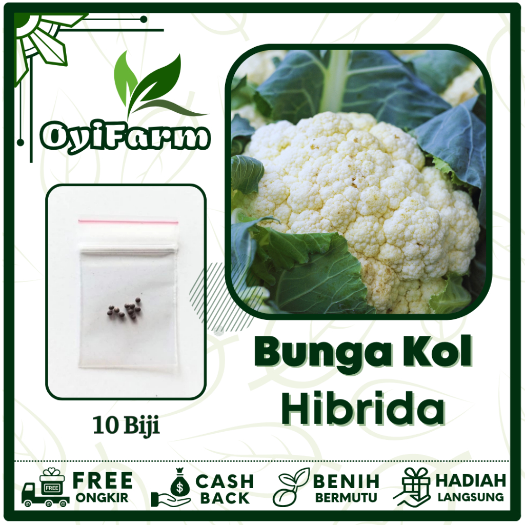 Jual Benih Sayuran Bunga Kol Dataran Rendah/Tinggi - Bibit Sayuran ...
