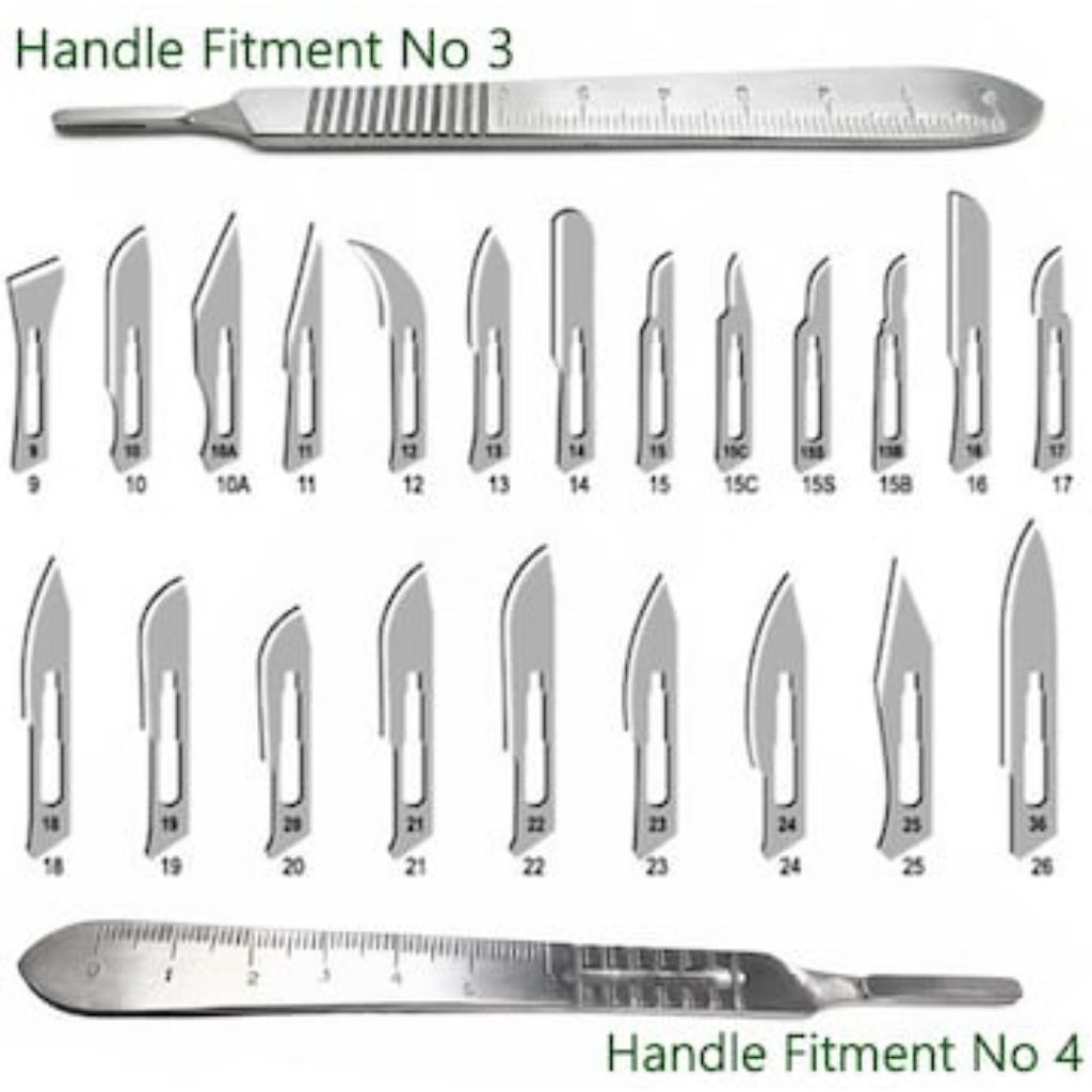 Jual Surgical Blade Pisau Bedah Dental Gusi Gingiva Bisturi Tajam ...
