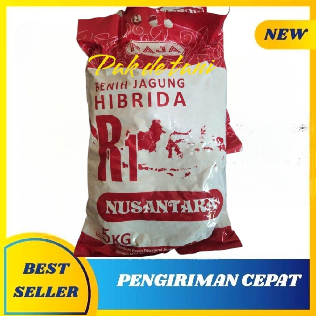 Jual Benih Jagung Hibrida Raja R1 Nusantara - 5kg | Shopee Indonesia