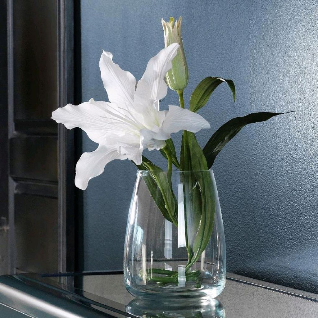 Jual Vas Bunga Kaca Premium Import Clear Oval Vase Glass - Med | Shopee ...
