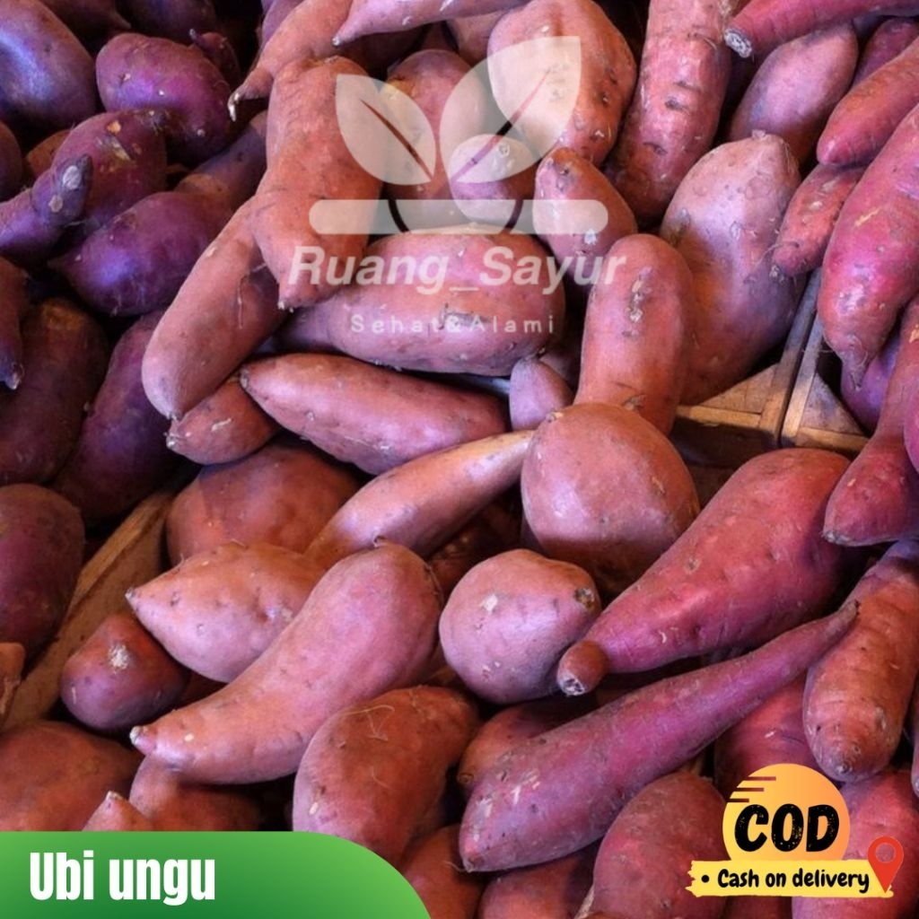 Jual Ubi Ungu ,Ubi Ungu Mentah , Ubi Ungu Mentah 1 kg , Sabrang Ungu ...