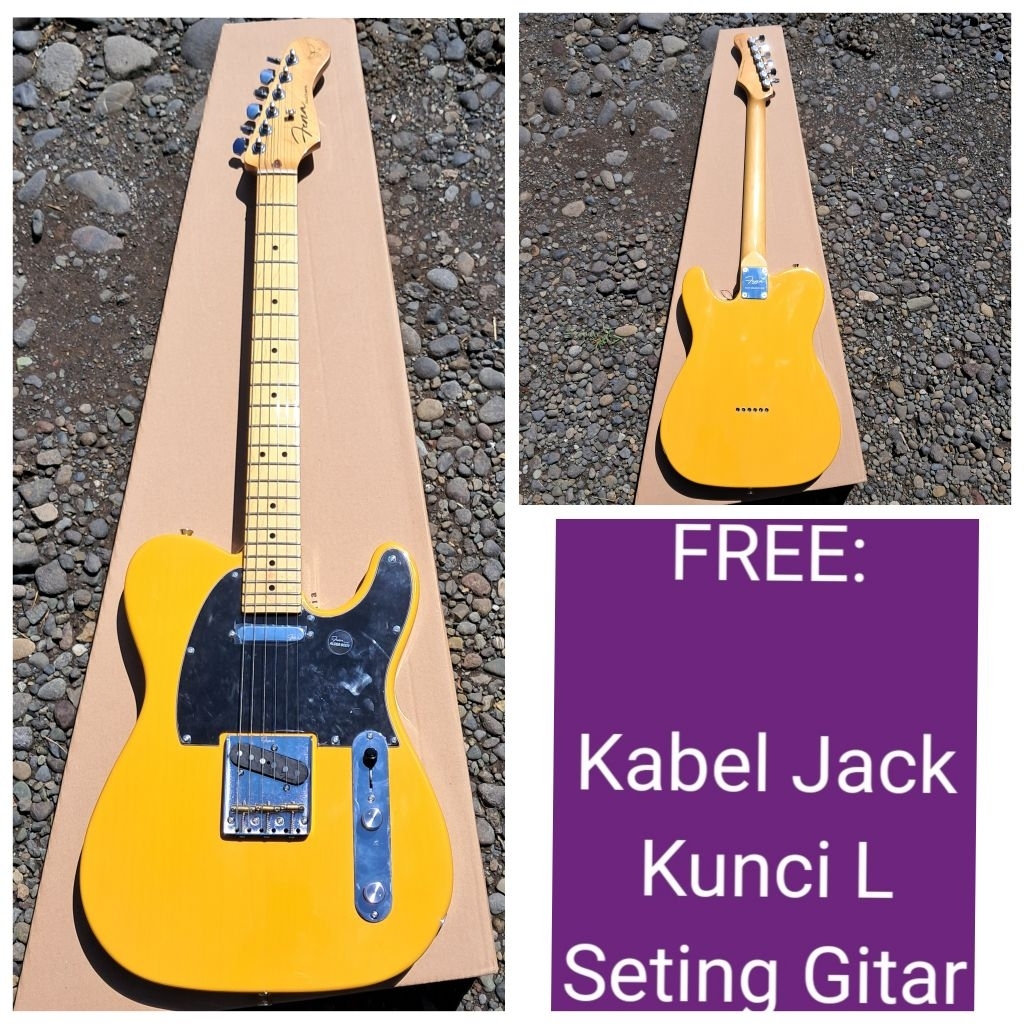 Jual GITAR ELEKTRIK FENA METAMORFOSIS GITAR FENA TL METAMORFOSIS ...