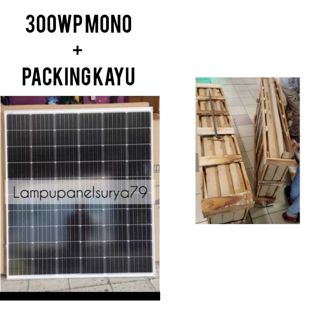 Jual Panel Surya Solar Panel Solarcell 300WP 300 WP Monocrystaline ...