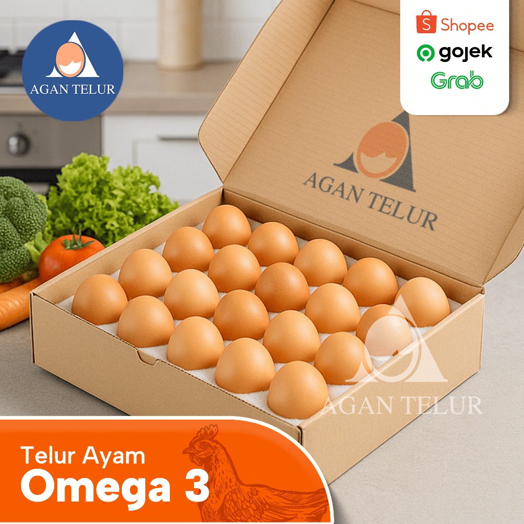 Jual Telur Omega 3 Organik Fresh isi 20 Butir per box denga foam ...