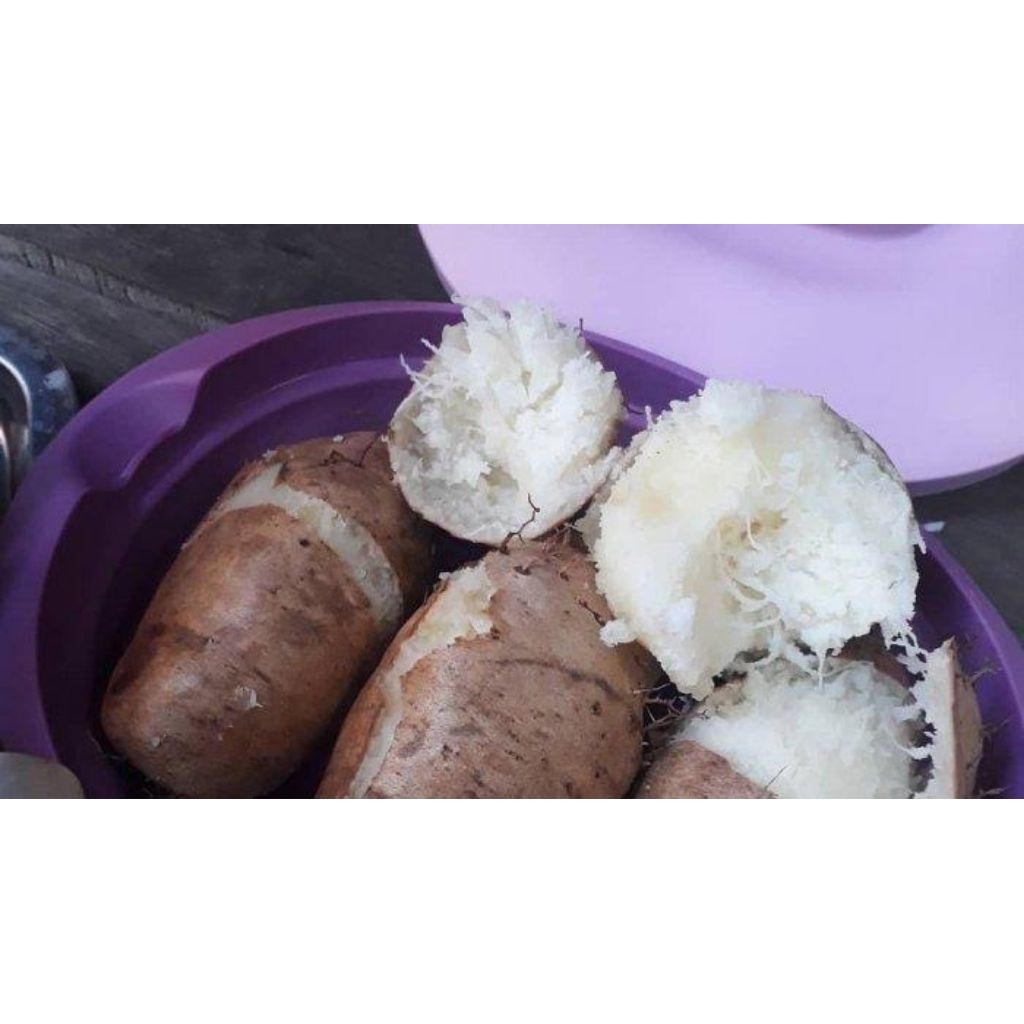 Jual Ubi gembili ketan enak pulen 1kg | Shopee Indonesia