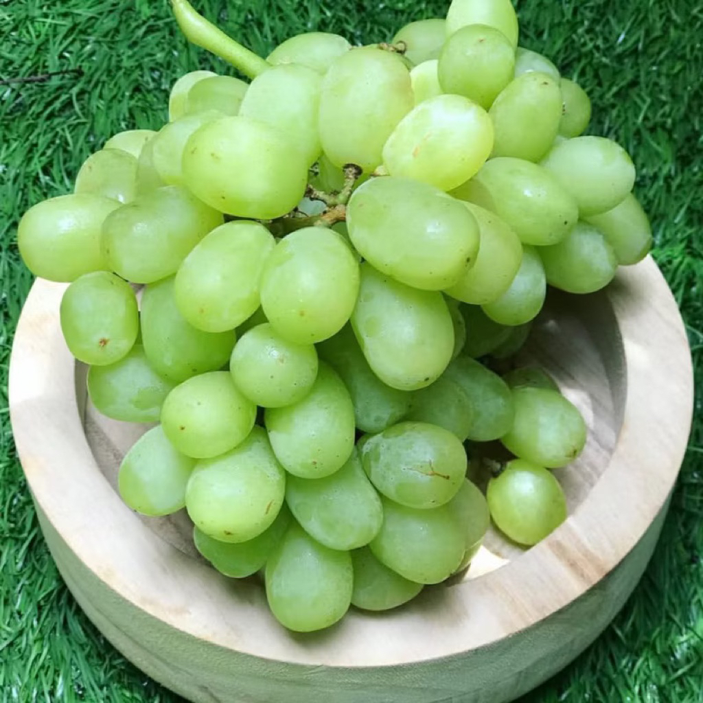 Jual Anggur Hijau Calmeria Australia Manis Fresh 500gr | Shopee Indonesia