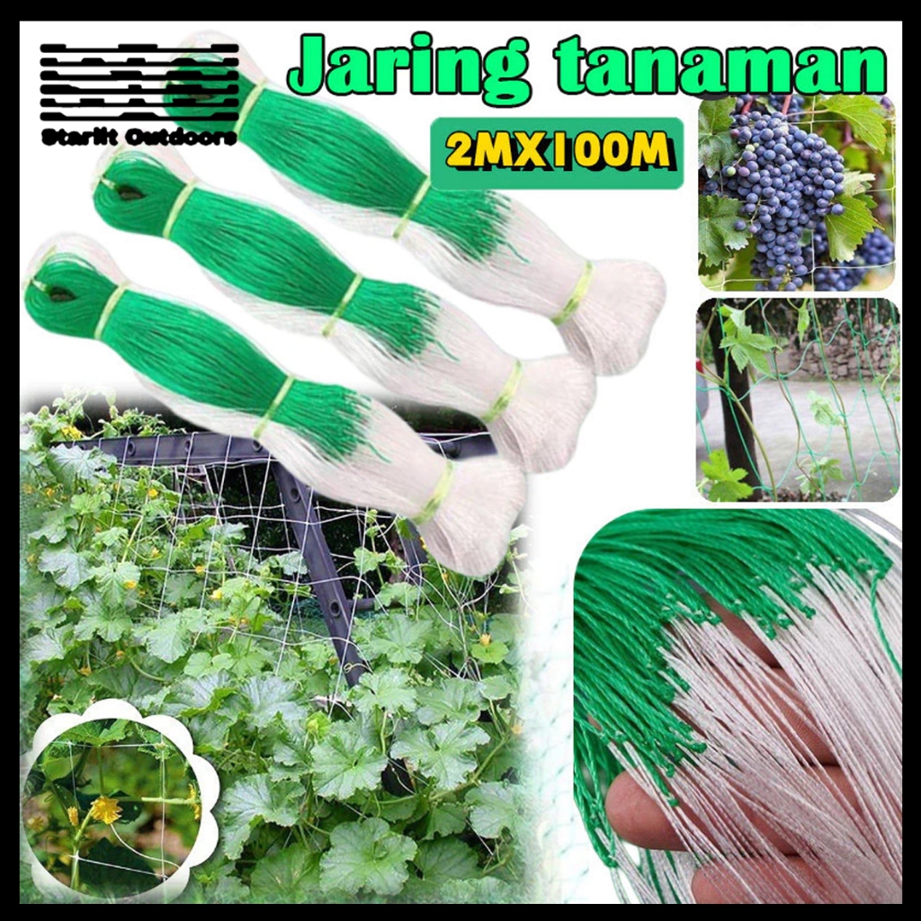 Jual 2M X 100M Jaring Net Rambatan Tanaman Kebun Trellis Netting Green Net Farm Climbing Net ...