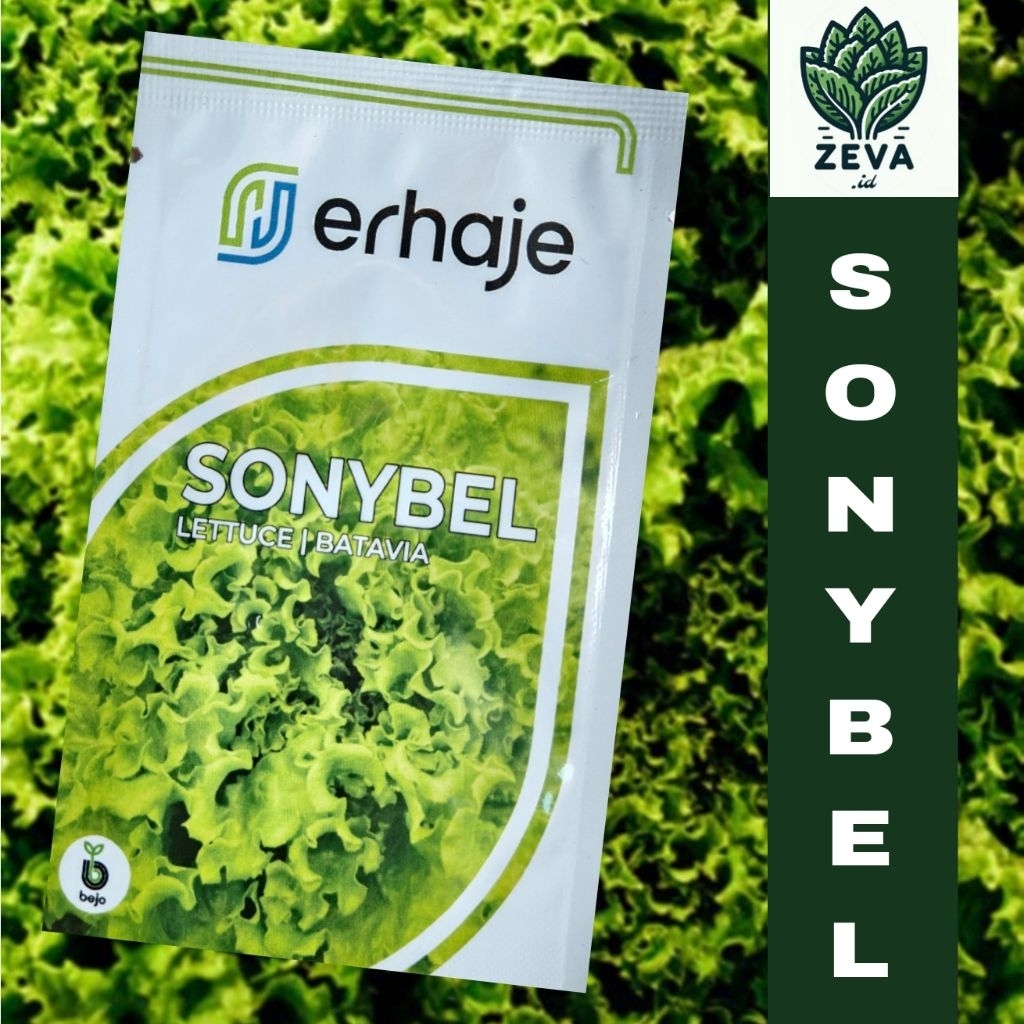 Jual Benih Bibit Selada Batavia Sonybel 1gram - Bejo Seed | Shopee ...