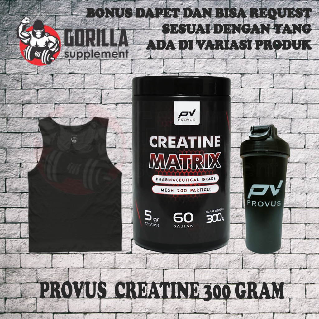 Jual PROVUS Creatine Monohydrate 300 Gram 60 Serving PV Mesh 200 ...