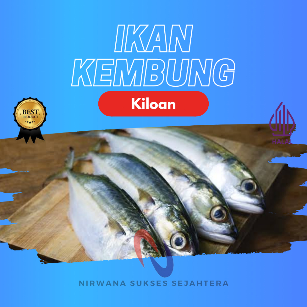 Jual IKAN KEMBUNG, BANJAR SEGAR / KEMBUNG FISH | Shopee Indonesia