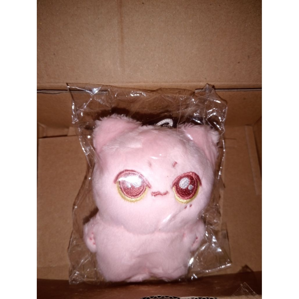 Jual PC OFFICIAL JAKE ENHYPEN POB OLIVE YOUNG&DOLL JJONGMI PINK ...