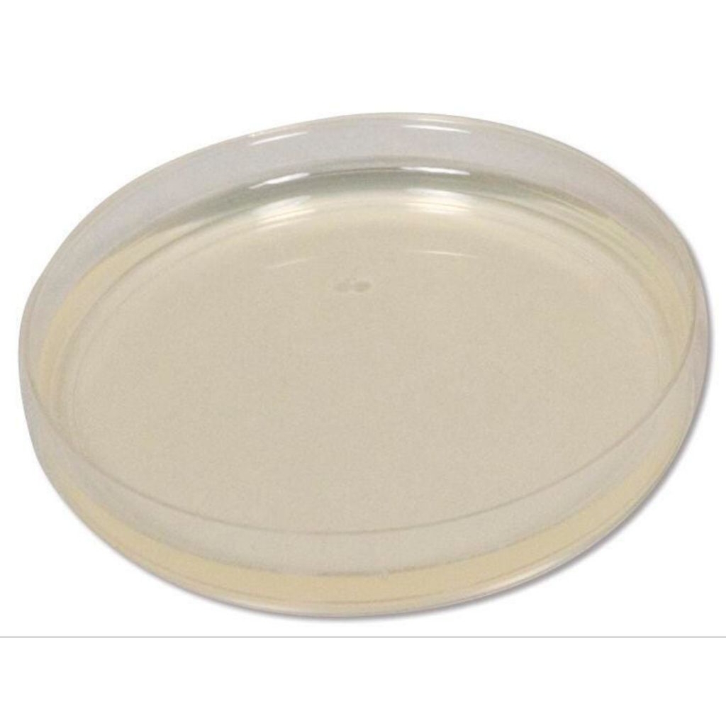 Jual Media Agar Plate Pertumbuhan Jamur untuk TPC / Uji AKK / Potato ...