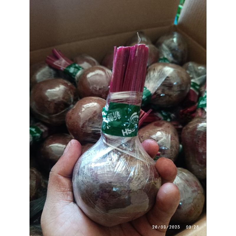 Jual BUAH BIT/BEETROOT SPEK MARKET 2KG FRESH | Shopee Indonesia