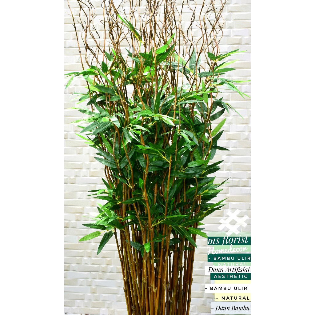 Jual 25 Btg Bambu Ulir Natural Daun Bambu 190cm (Tanpa Pot ...