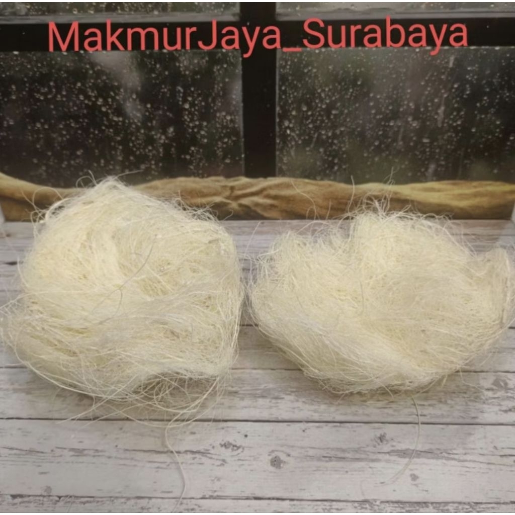 Jual SERAT NANAS SUSUH ALAS TEMPAT BERTELUR TERNAK BURUNG KENARI FINCH ...