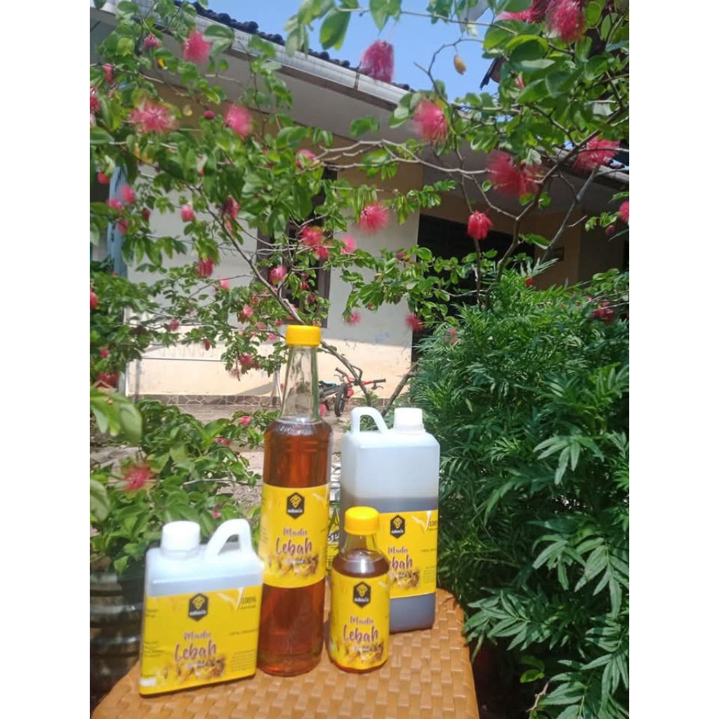 Jual Madu lebah apis cerana | Shopee Indonesia