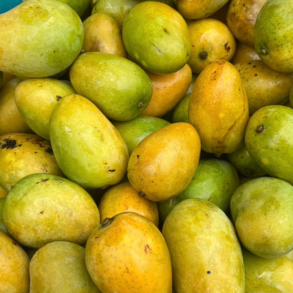 Jual MANGGA UDANG | MANIS | KULIT BISA DIMAKAN | BUAH MANGO FRUIT ...