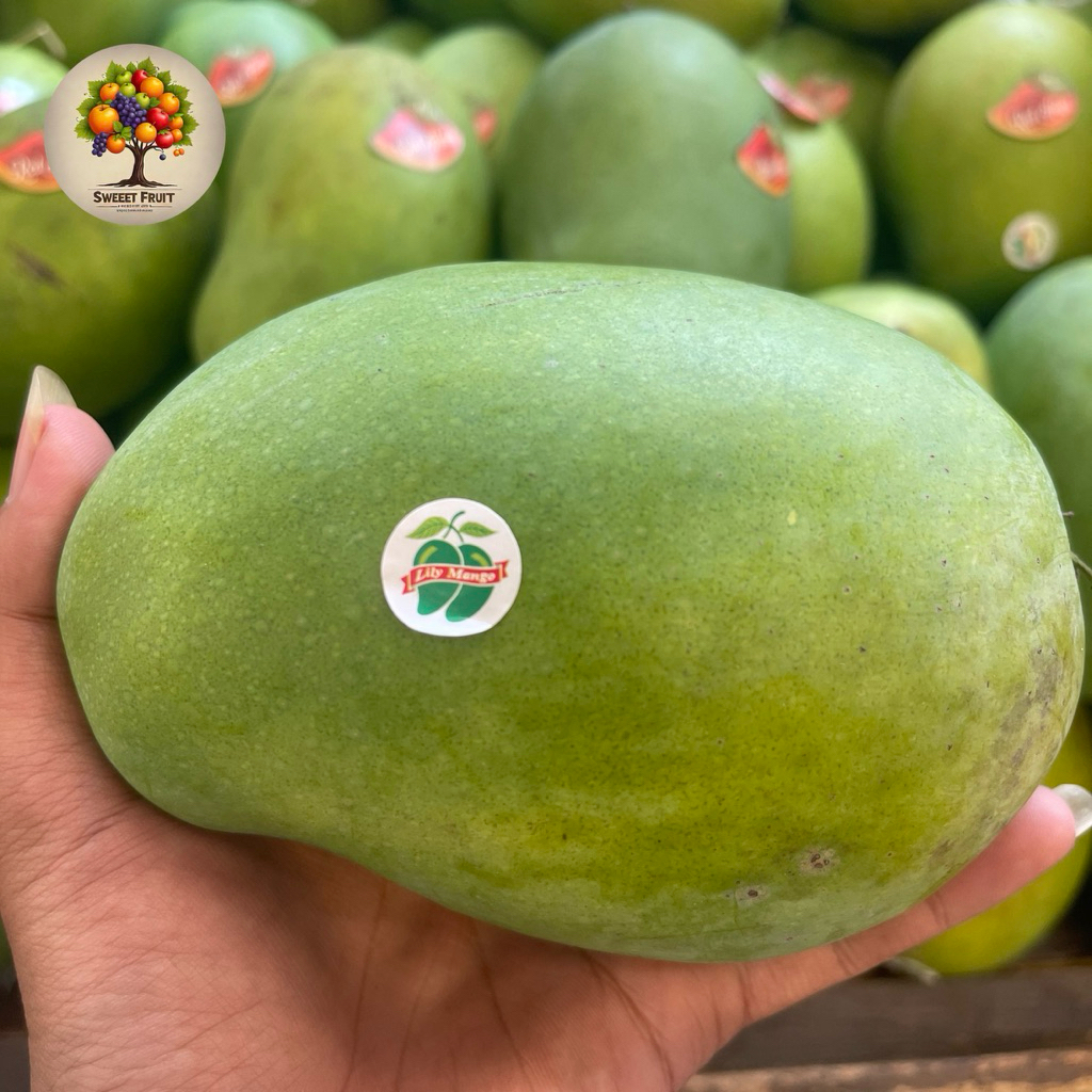 Jual Mangga Lily Haruma Manis | Mangga Red Heart Premium 1kg | Shopee ...