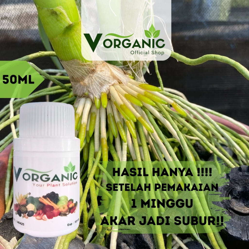Jual Pupuk anggrek Pupuk tanaman hias perangsang akar dan bunga Tanaman ...