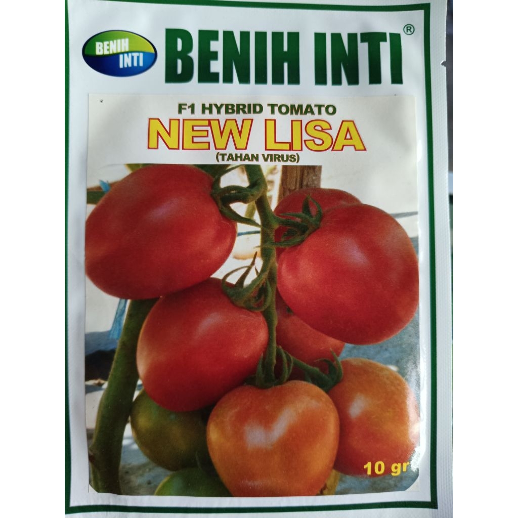 Jual Benih Tomat Hibrida F1 NEW LISA Tahan Virus 10 Gr Benih Inti ...