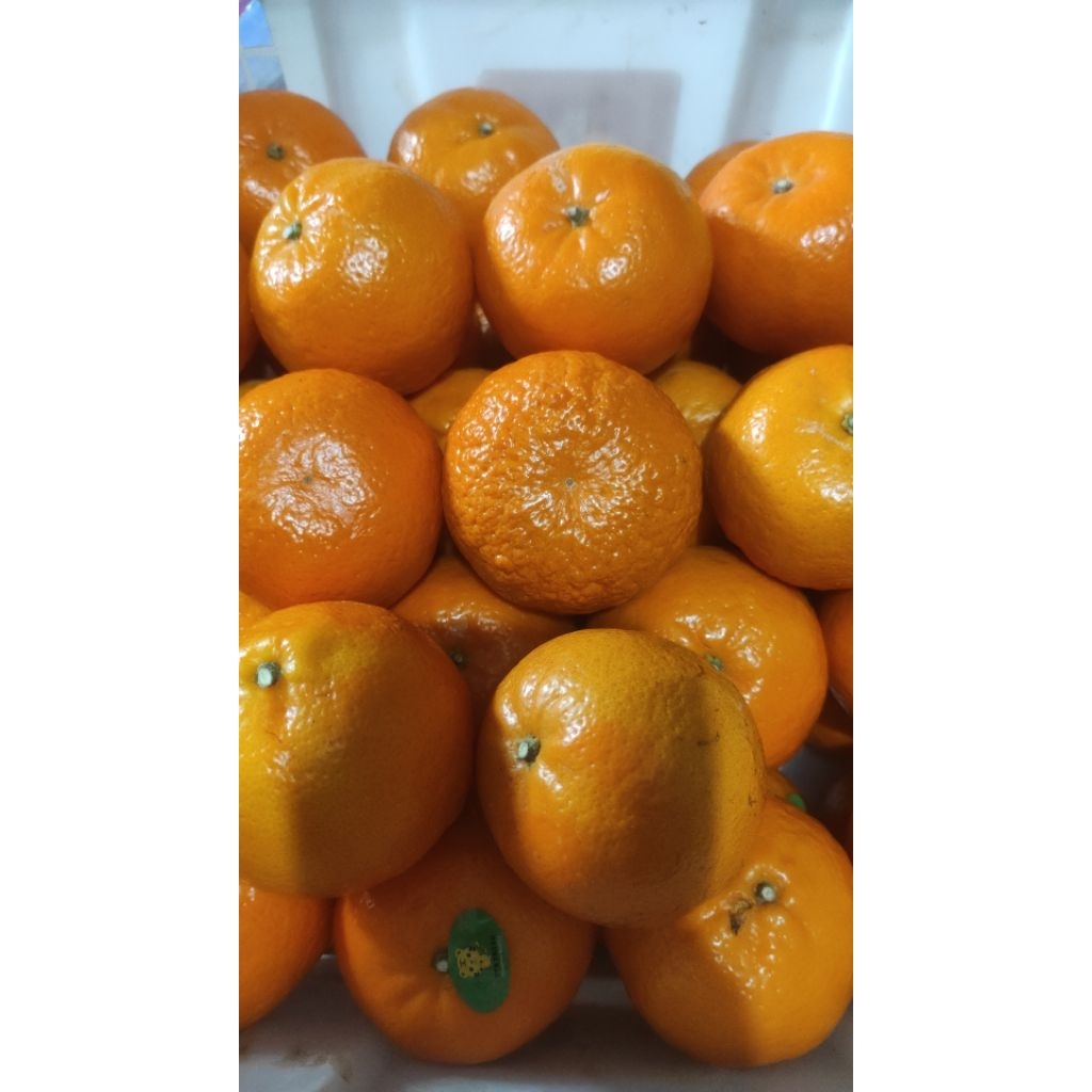 Jual Jeruk Wokam, wogam, wogan Premium, Jeruk Mandarin | Shopee Indonesia