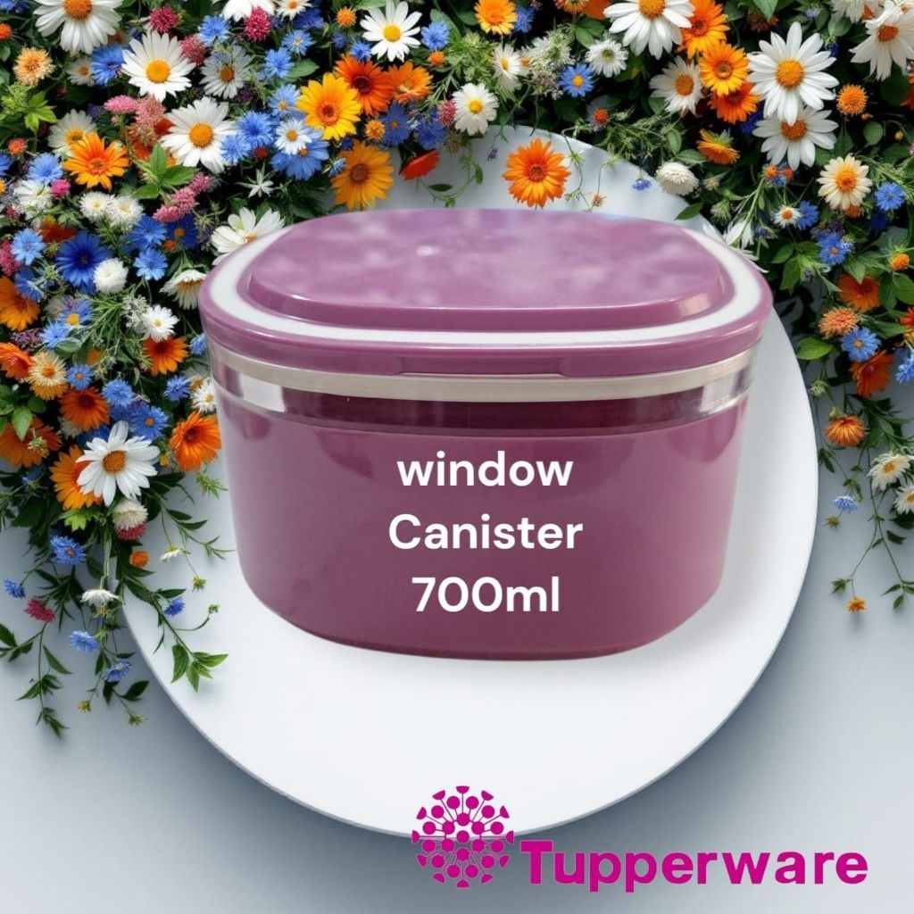 Jual Window Caniester 700 ml Tupperware | Shopee Indonesia