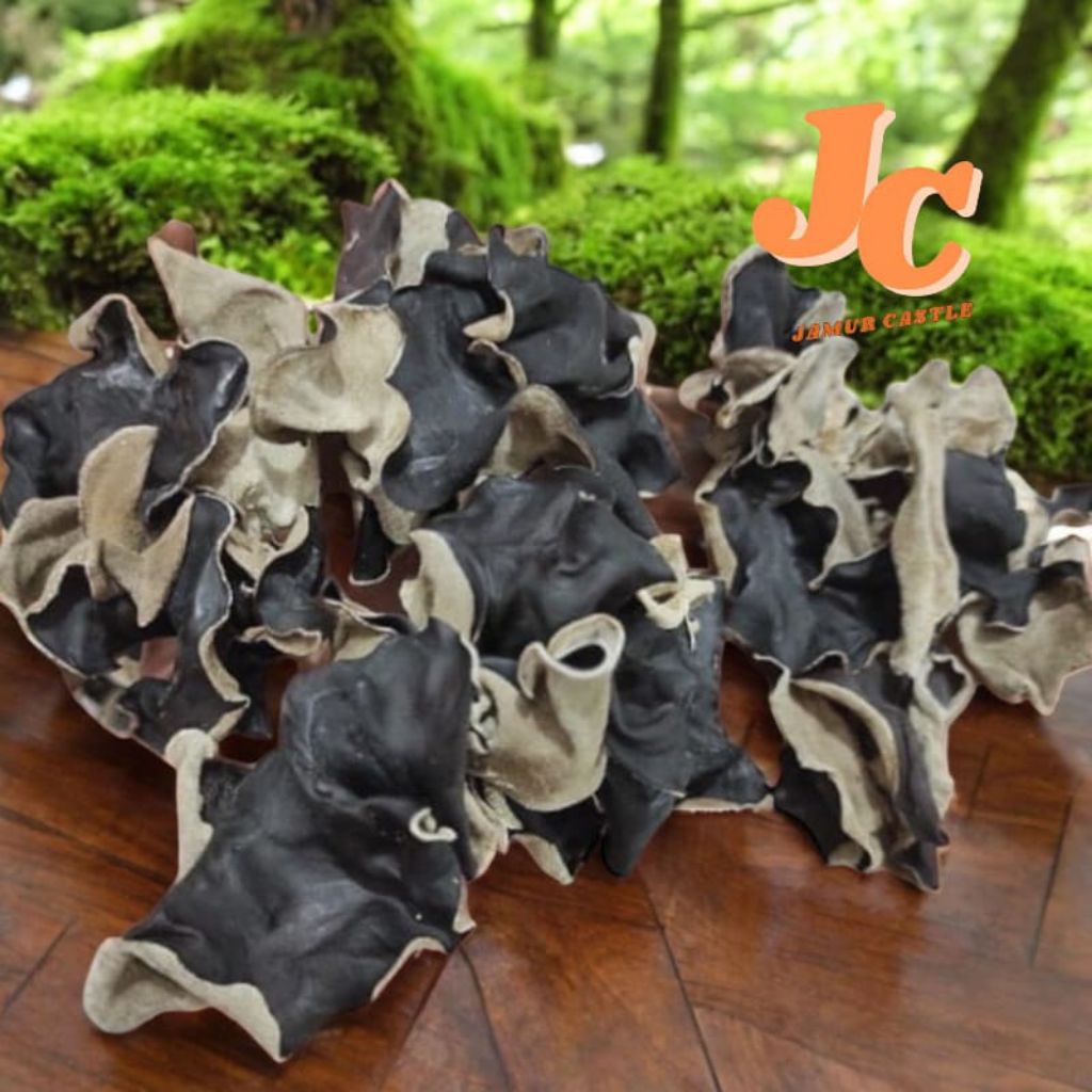 Jual Jamur Kuping Kering 1 kg / Jamur Hitam Kering 1 KG Sortir | Shopee ...