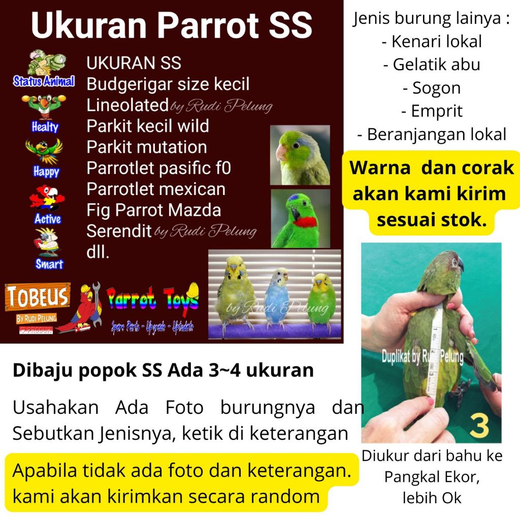 Jual ukuran SS Baju Diaper popok Parrot Parkit, Parotlet lioneted ...