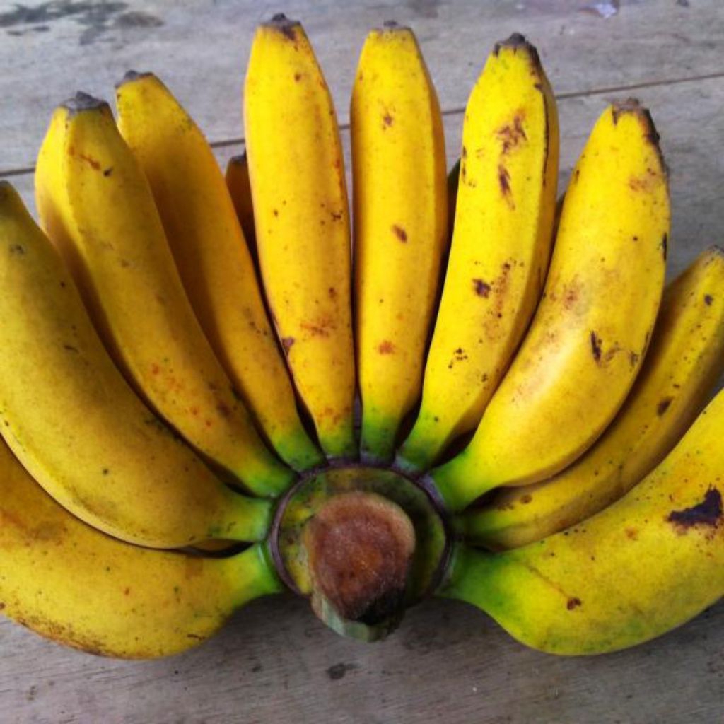 Jual pisang raja bulu per 1 kg | Shopee Indonesia