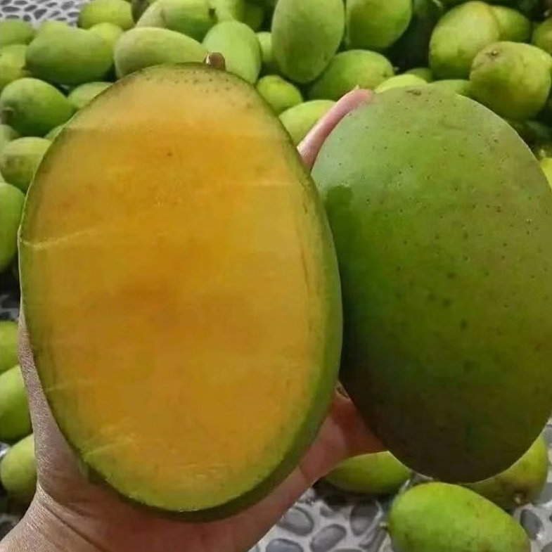 Jual MANGGA KWENI BEM BEM 1kg | Shopee Indonesia