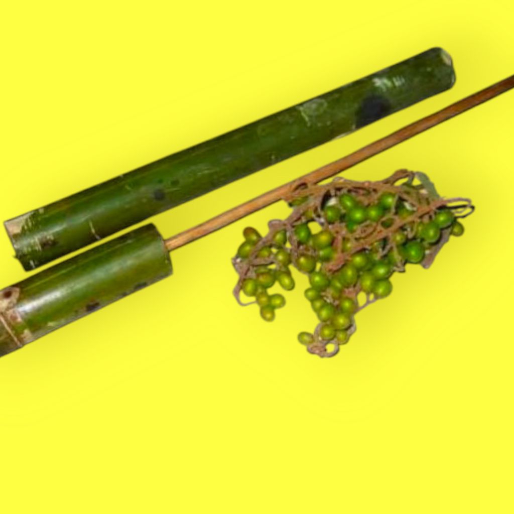 Jual petokan bambu,mainan tradisional | Shopee Indonesia