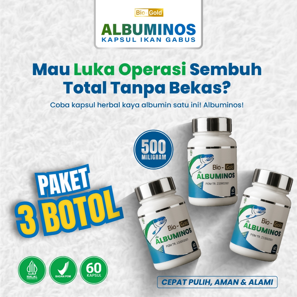 Jual Albuminos - Isi 60 Kapsul Albumin Kutuk Ikan Gabus Untuk Mengatasi ...