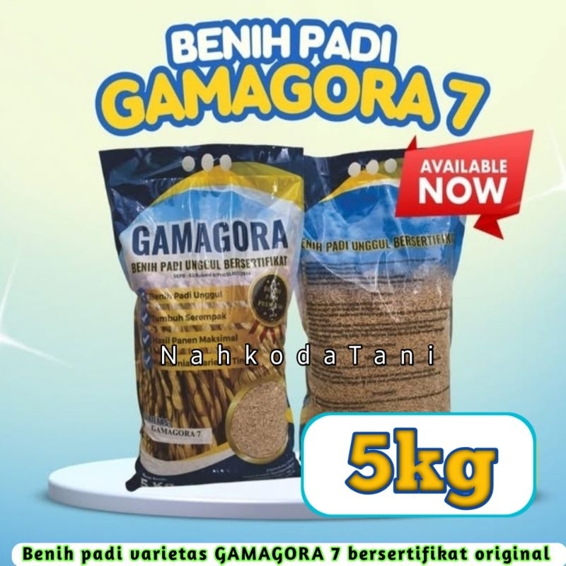 Jual Benih padi GAMAGORA 7 kemasan 5kg | Shopee Indonesia