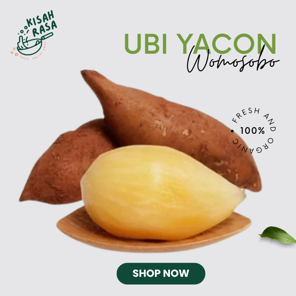 Jual UBI YAKON, UMBI YAKON,UBI YACON ASLI WONOSOBO FRESH (STOCK ...