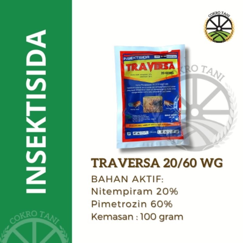 Jual Insektisida Traversa 20/60 WG 100 gr - Kendalikan Wereng | Shopee ...