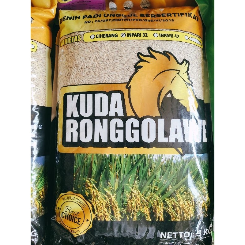 Jual BENIH PADI INPARI 32 KUDA RONGGOLAWE ORIGINAL 5KG | Shopee Indonesia