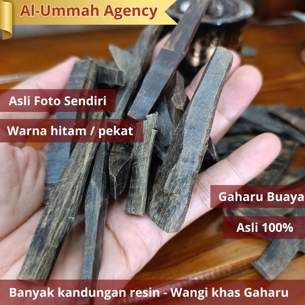 Jual Gaharu Buaya Gahru Bouya Asli Hutan Kalimantan Aroma Wangi Alami Khas Kayu Gaharu 50 gram ...