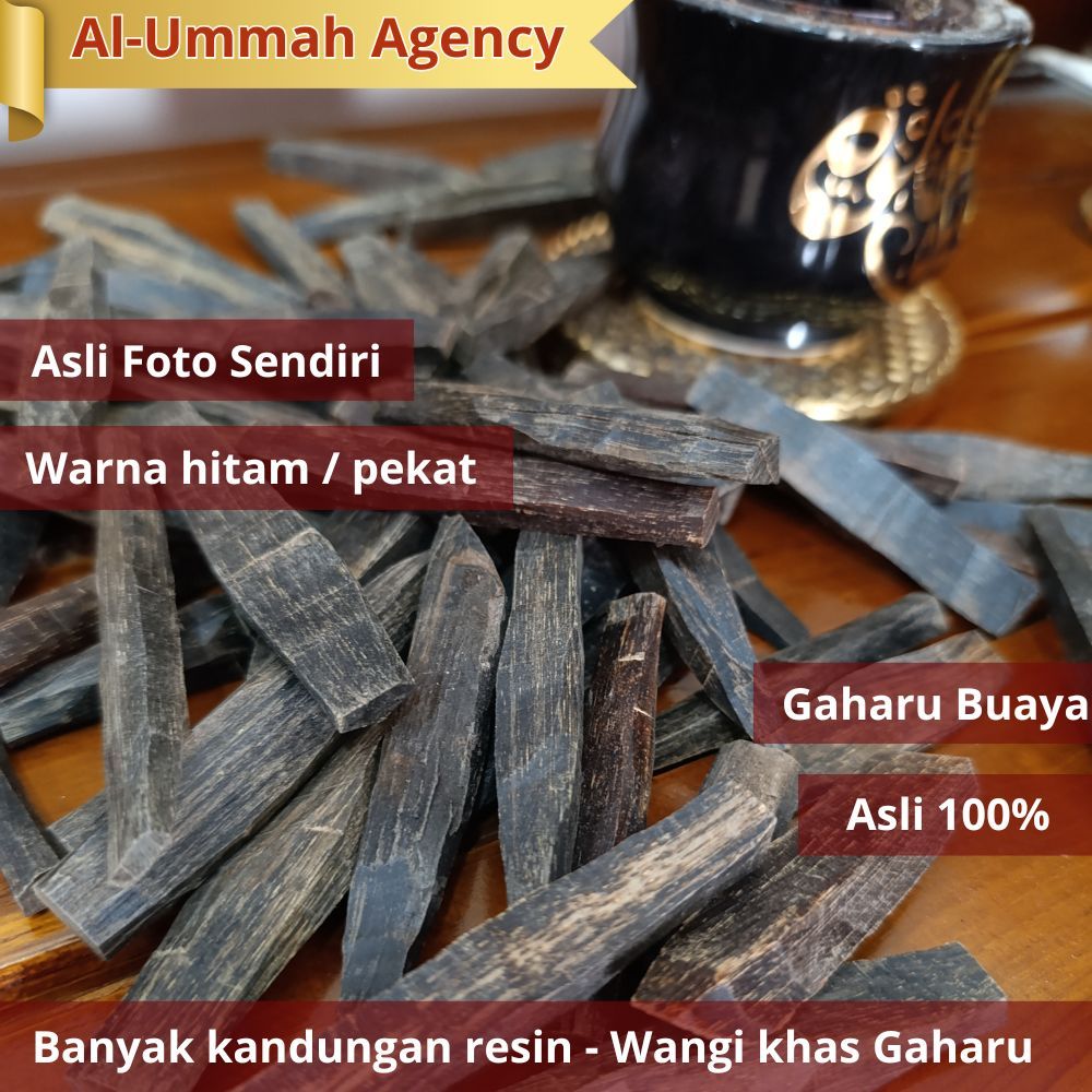Jual Agarwood Gaharu Kayu Wangi Khas Gahru Asli Kalimantan Kayu Warna Hitam Pekat Tinggi Resin ...