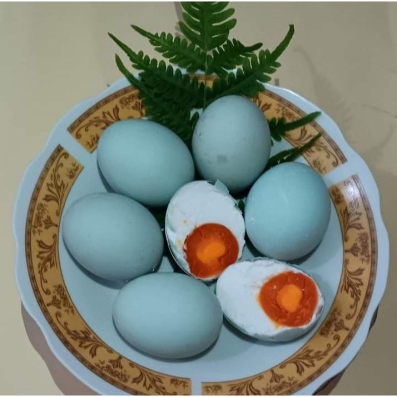 Jual TELUR ASIN(ASLI TELUR BEBEK) | Shopee Indonesia