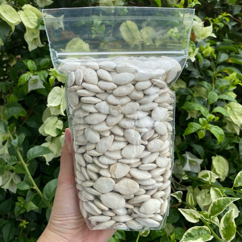 Jual Kuaci Labu Putih (500gr & 1 kg) | Shopee Indonesia