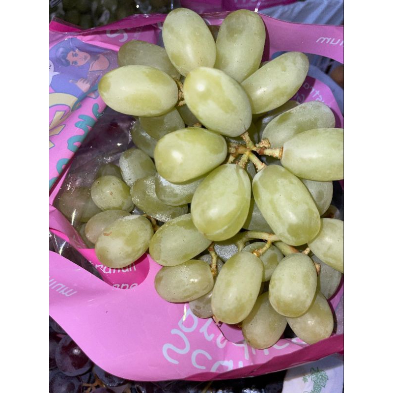 Jual Anggur hijau 1kg | Shopee Indonesia