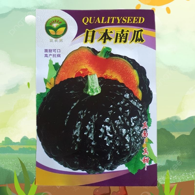 Jual -+15 BUTIR BENIH LABU HITAM JEPANG IMPORT (KEMASAN ORIGINAL ...