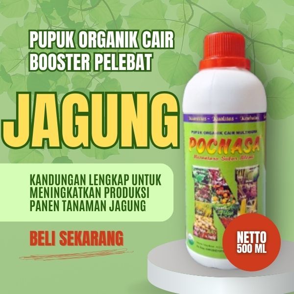 Jual Pupuk Organik Cair Penyubur Jagung Manis Pipil PopCorn Masa Pertumbuhan Pembesar Buah ...