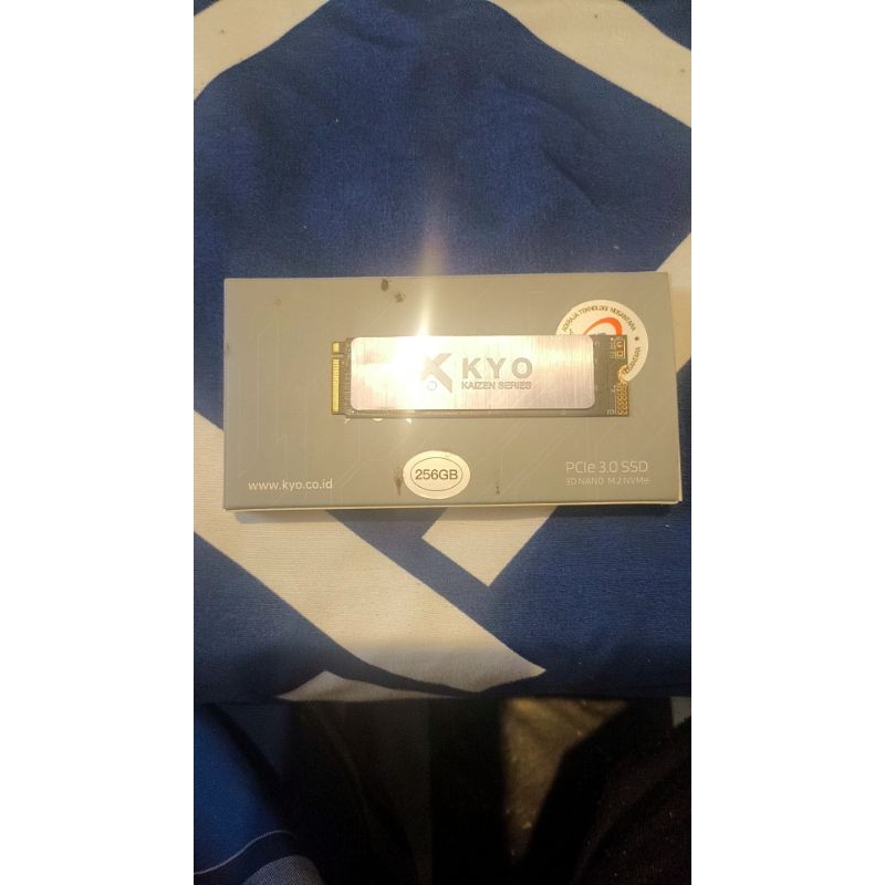 Jual SSD KYO KAIZEN 256GB | Shopee Indonesia