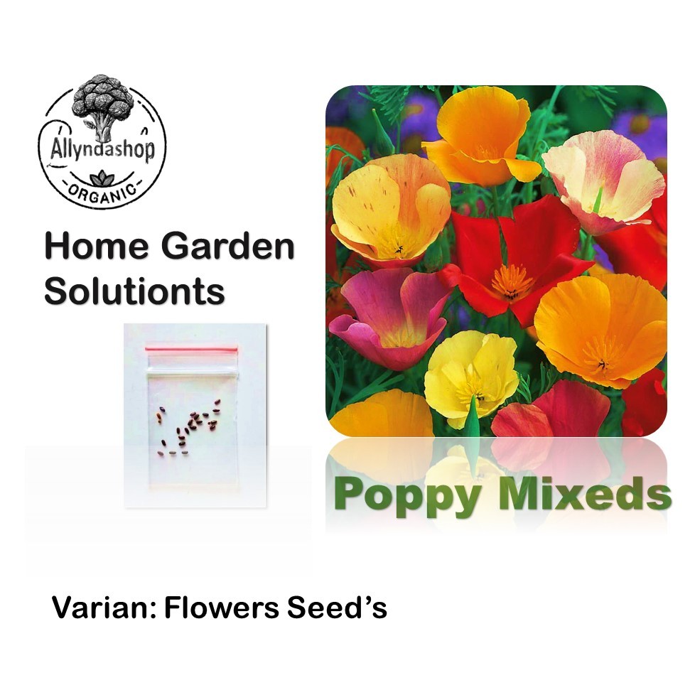 Jual 20 Biji - Bibit Benih Bunga Wild Poppy Native Grown Mixeds ...