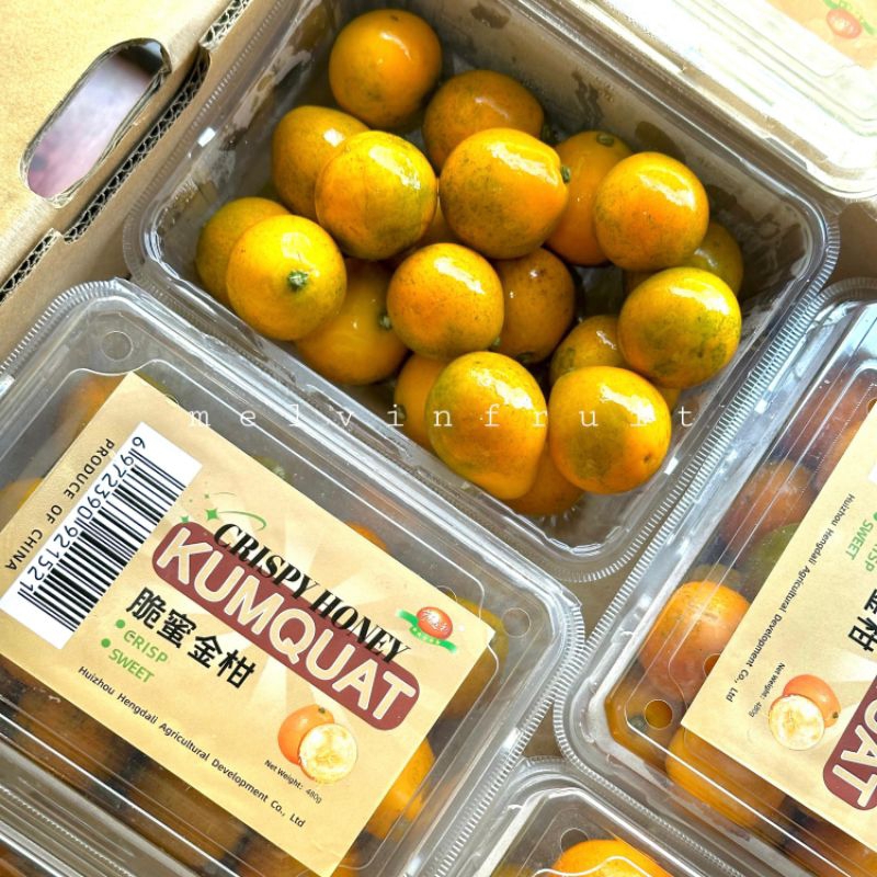 Jual Jeruk Kimkit fresh 500gr / pack | Shopee Indonesia