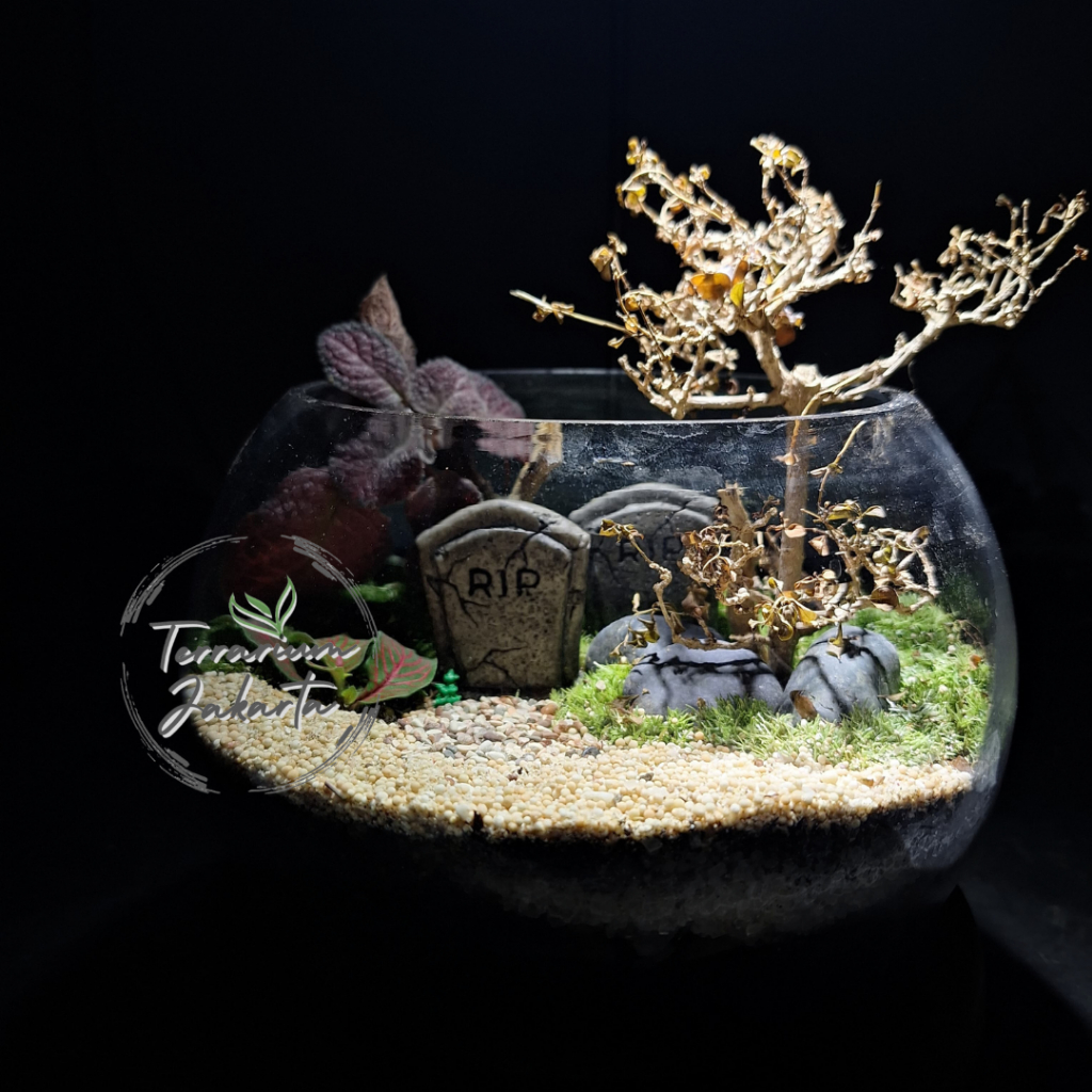 Jual Open Terrarium - Hidden Cemetery | Terrarium Gift | Terrarium ...