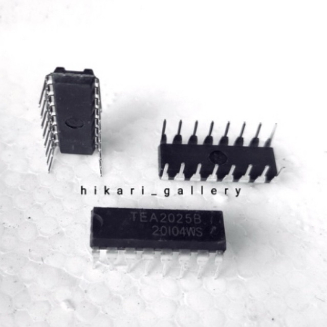 Jual (PROMO) TEA2025B Amplifier Stereo Audio / TEA 2025 B / TEA 2025B | Shopee Indonesia