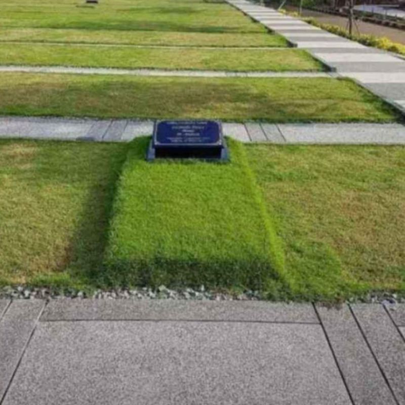 Jual Paket Taman Makam Jabodetabek/Taman Rumput Hidup | Shopee Indonesia